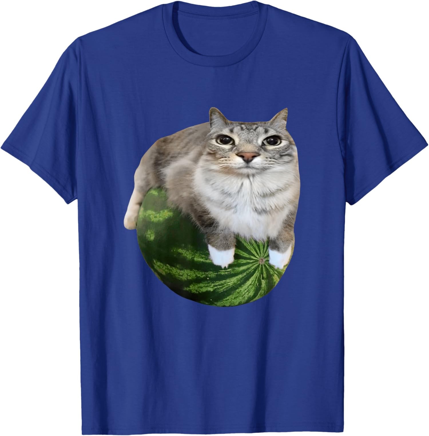 Watermelon Funny Cat Silly Cat Meme Unisex T-Shirt | eBay