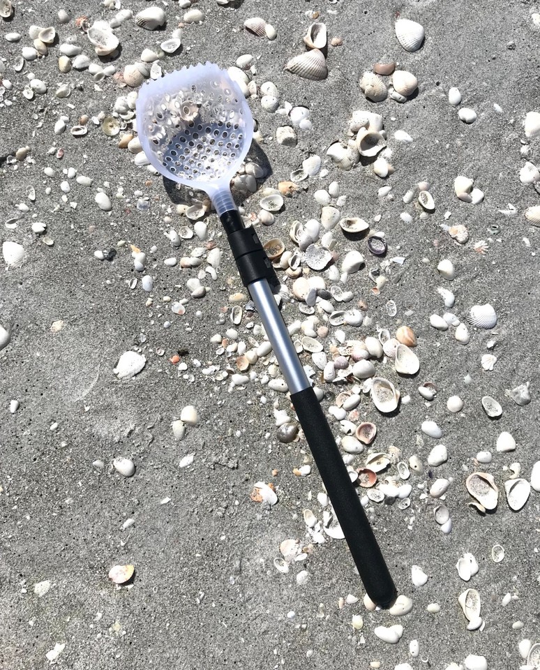 Rock Scooper, Sea Shell Scoop, Shark Teeth, Rock Collect, Rock Hunt | eBay