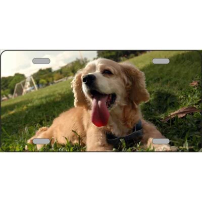 MINI Size 4"x2.2" License Plate Metal Novelty Sign Tag Cocker Spaniel ...