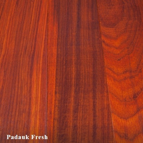 10 BOARD FEET KILN DRIED 8/4 PADAUK LUMBER WOOD FAS GRADE | eBay