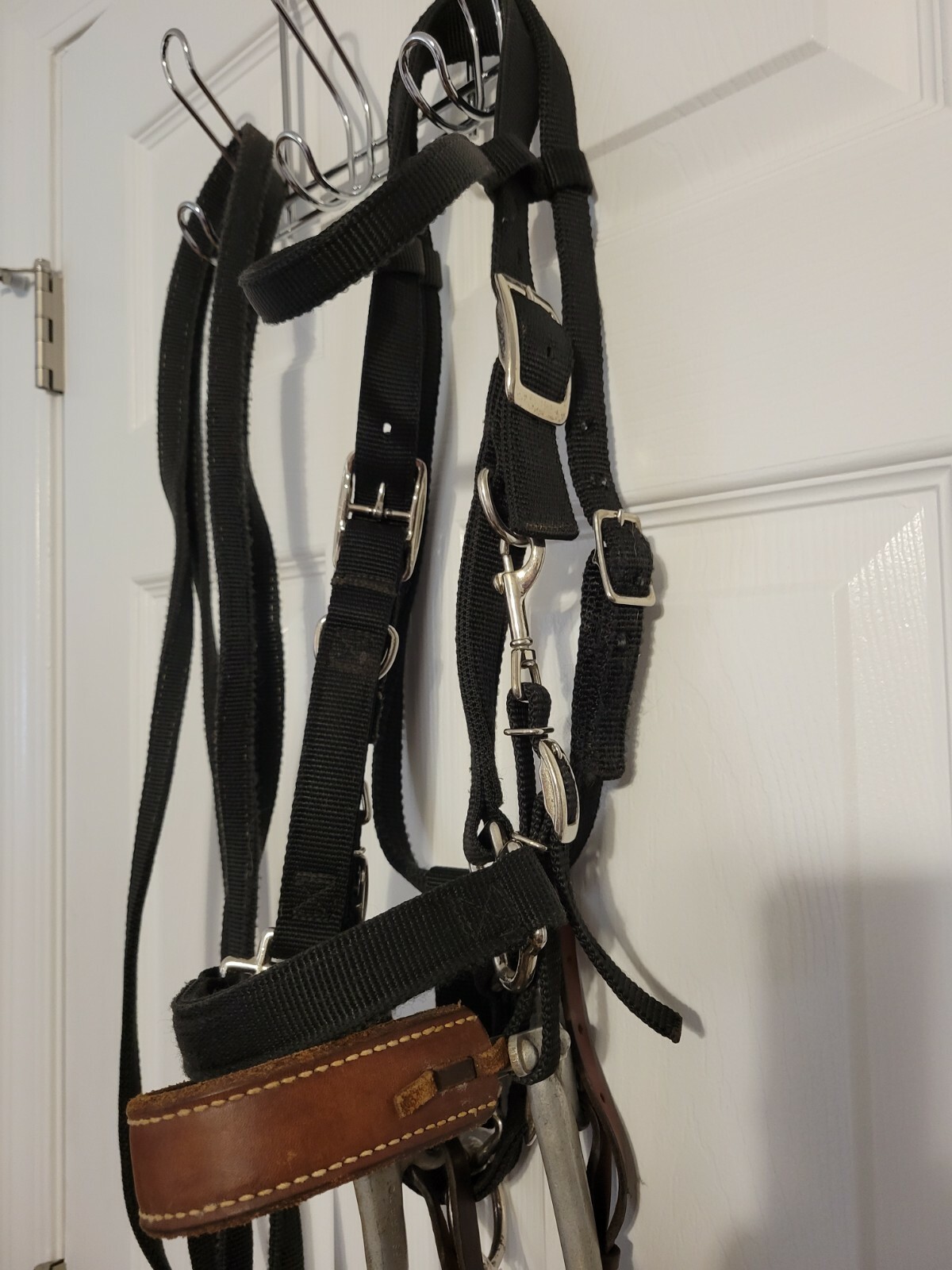 Sliester Hackamore and Black Nylon Halter Bridle Excellent | eBay