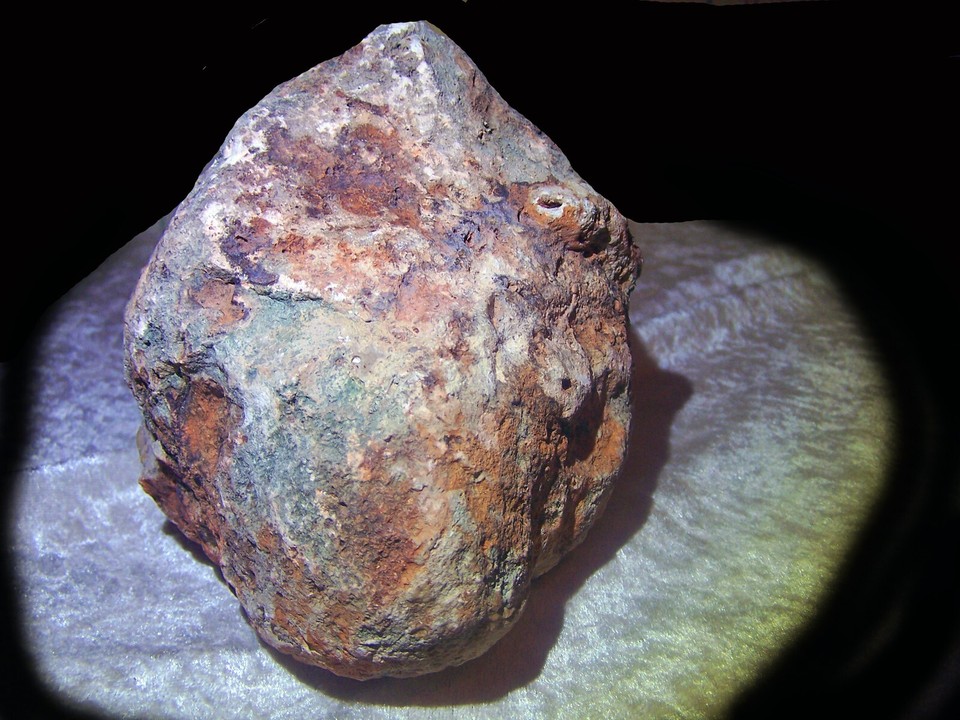 VERIFIED FOSSILIZED DINOSAUR HEAD WITH PETRIFIED SOFT TISSUE INTACT. | eBay