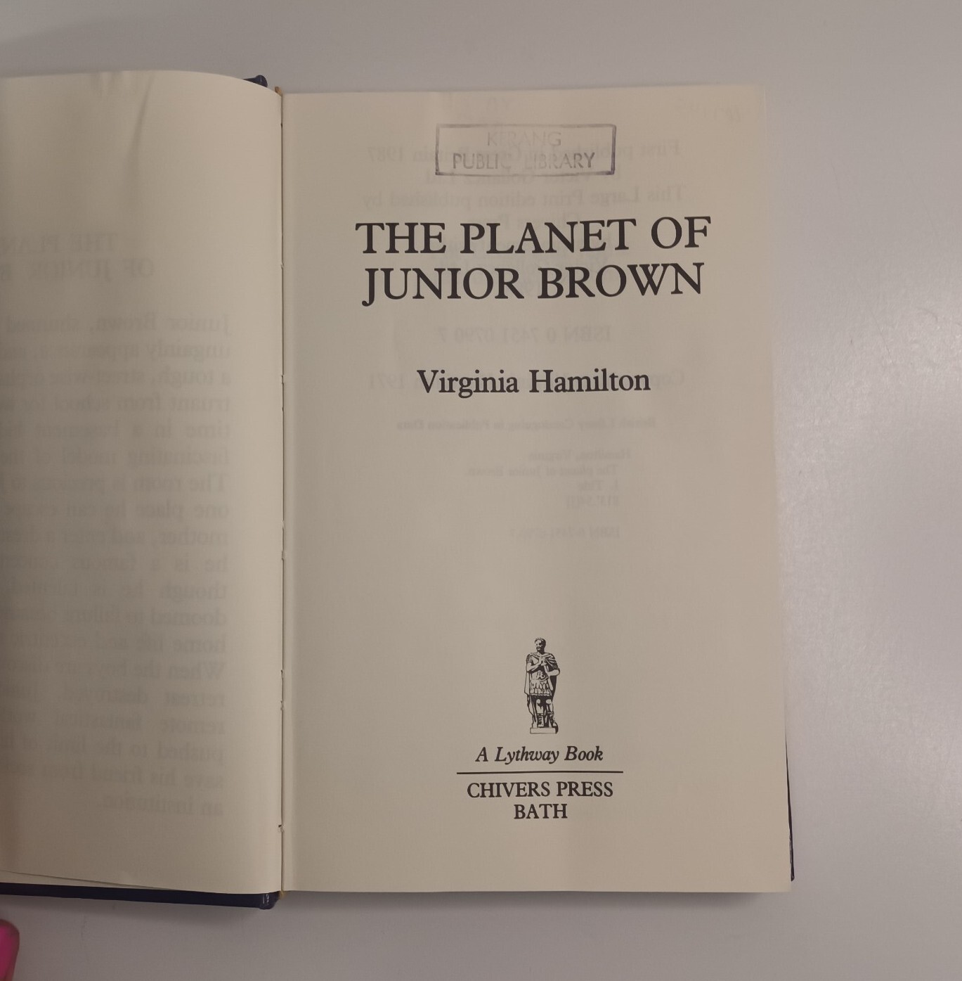 The Planet of Junior Brown By Virginia Hamilton 1987 Large Print ...
