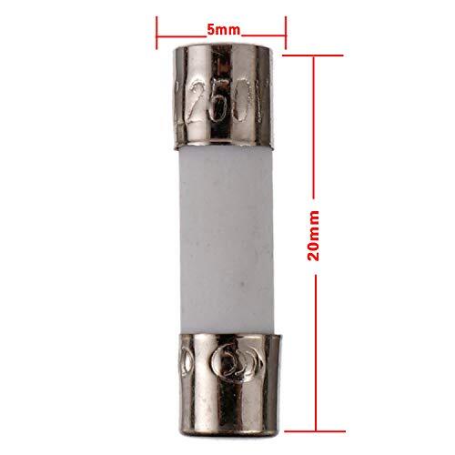 F10al250v 5x20 Mm 10a 250v Fastblow Ceramic Fuses 10 Amp 250 Volt 0.2x0 ...