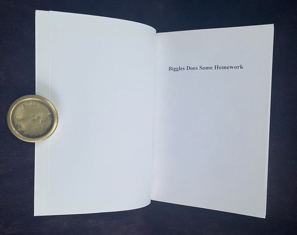 Biggles Does Some Homework N. Wright. W.E.Johns. “comp “1st soft P/b ...