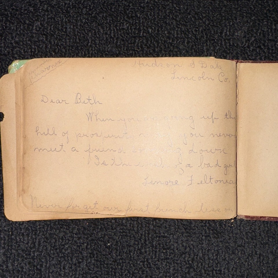 Antique Victorian Autographs Book Celluloid Cover Flowers Watermill ...