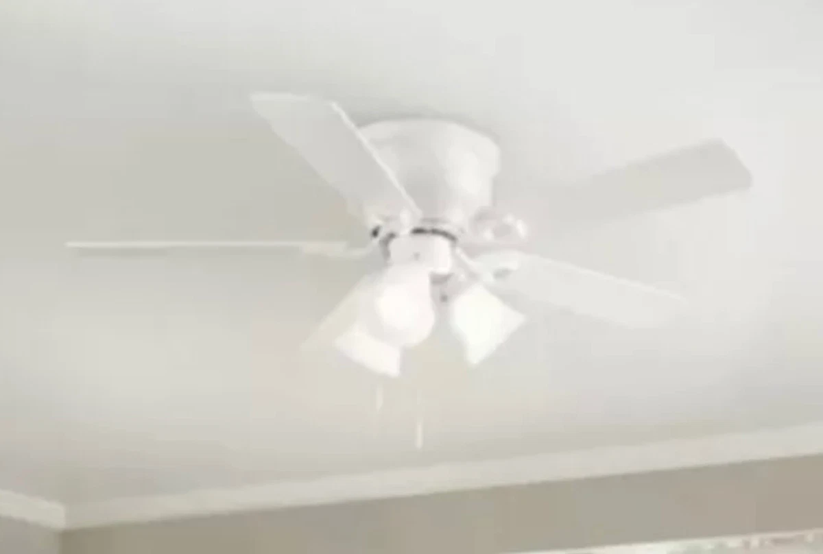 Intertek Ceiling Fan Parts | Shelly Lighting