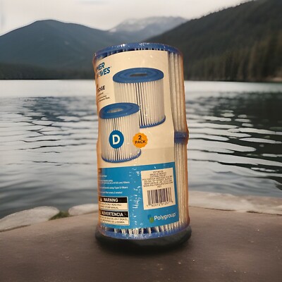 Summer Waves Polygroup Pool Filter Cartridge (D Type) - 2 Pack ...