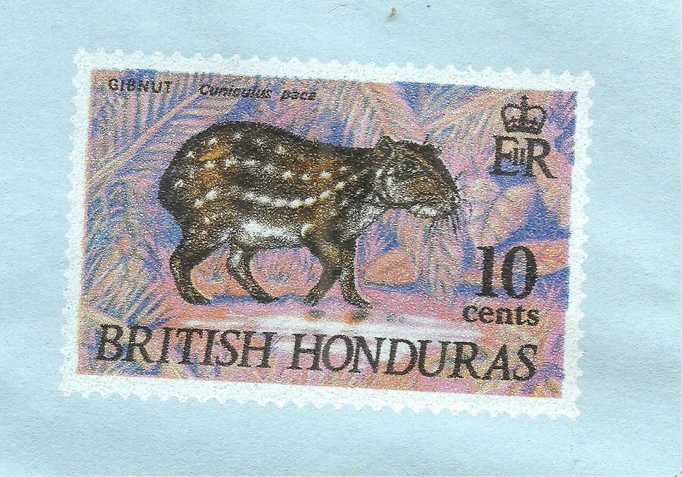 BRITISH HONDURAS: Aerogramme 10c. Gibnut / 1969 / MNH / animals | eBay