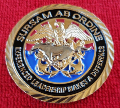 Navy Security Forces Challenge Coin Sea Air Land Coin Seal Challenge