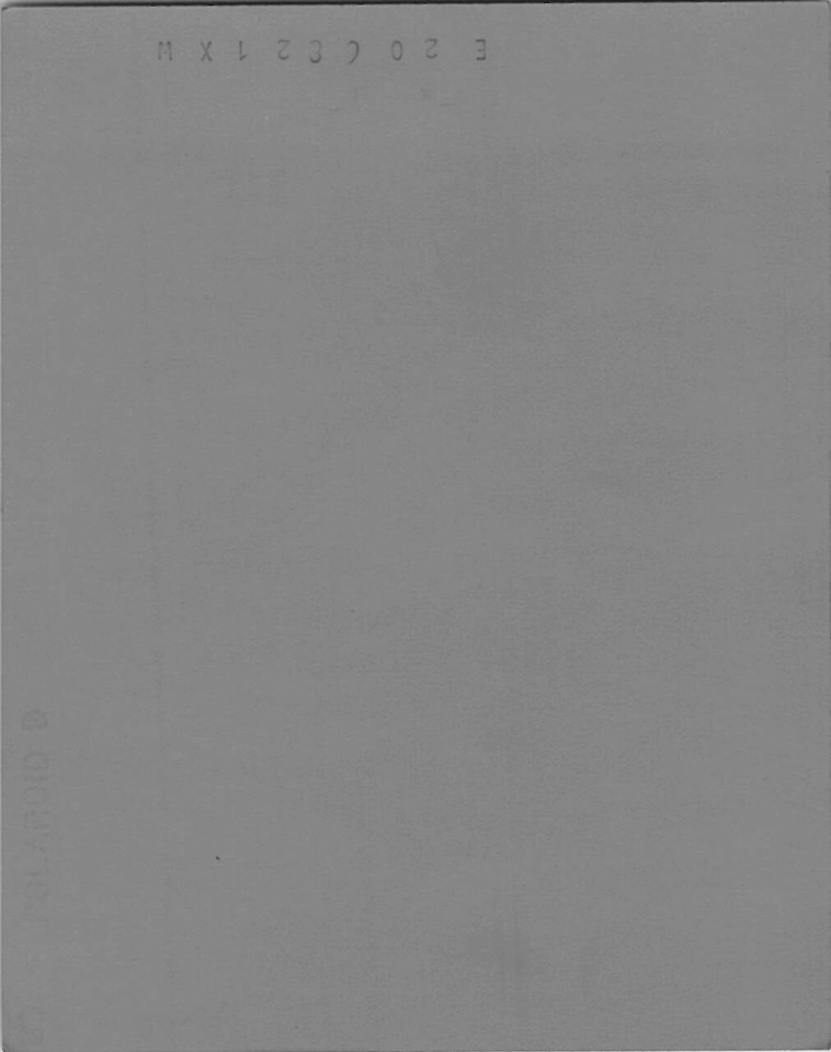 Hot Flirty Sensual Blonde Woman Modeling Snapshot Risqué 1960s Vintage ...