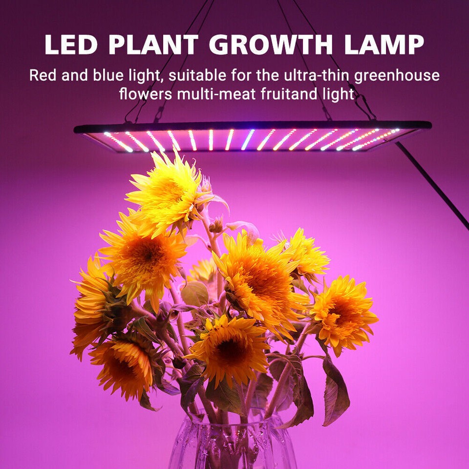 8500W LED Grow Light Panel Full Spectrum Lamp for Indoor Plant Veg ...