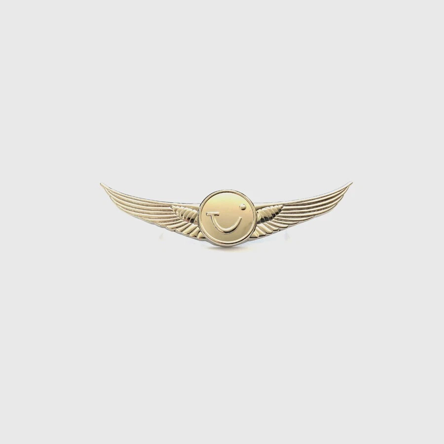 Flying Wings Pin