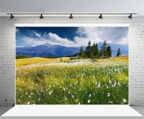 7x5ft Vinyl Summer Landscape Backdrops for Photography Background ...