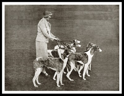 GREYHOUND LADY WALKING DOGS VINTAGE STYLE DOG PHOTO PRINT POSTER | eBay
