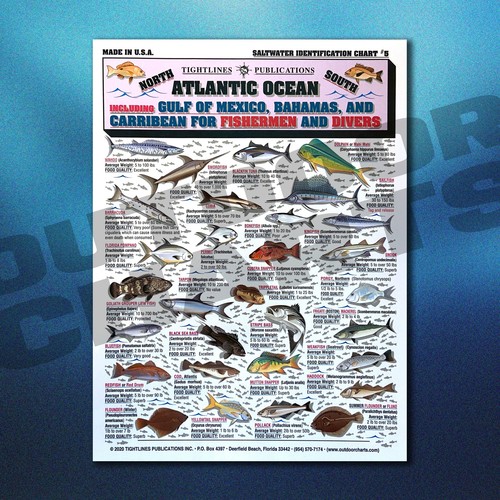 Atlantic Ocean Saltwater Identification Chart #5 - Waterproof Quick ...