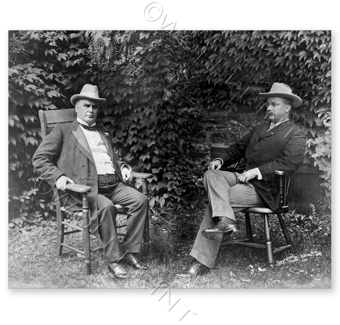 William Mckinley And Theodore Roosevelt