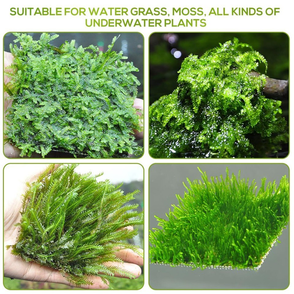 2 PCS Moss Mesh Wall Stainless Steel Moss Floor Mesh Aquatic Plants ...