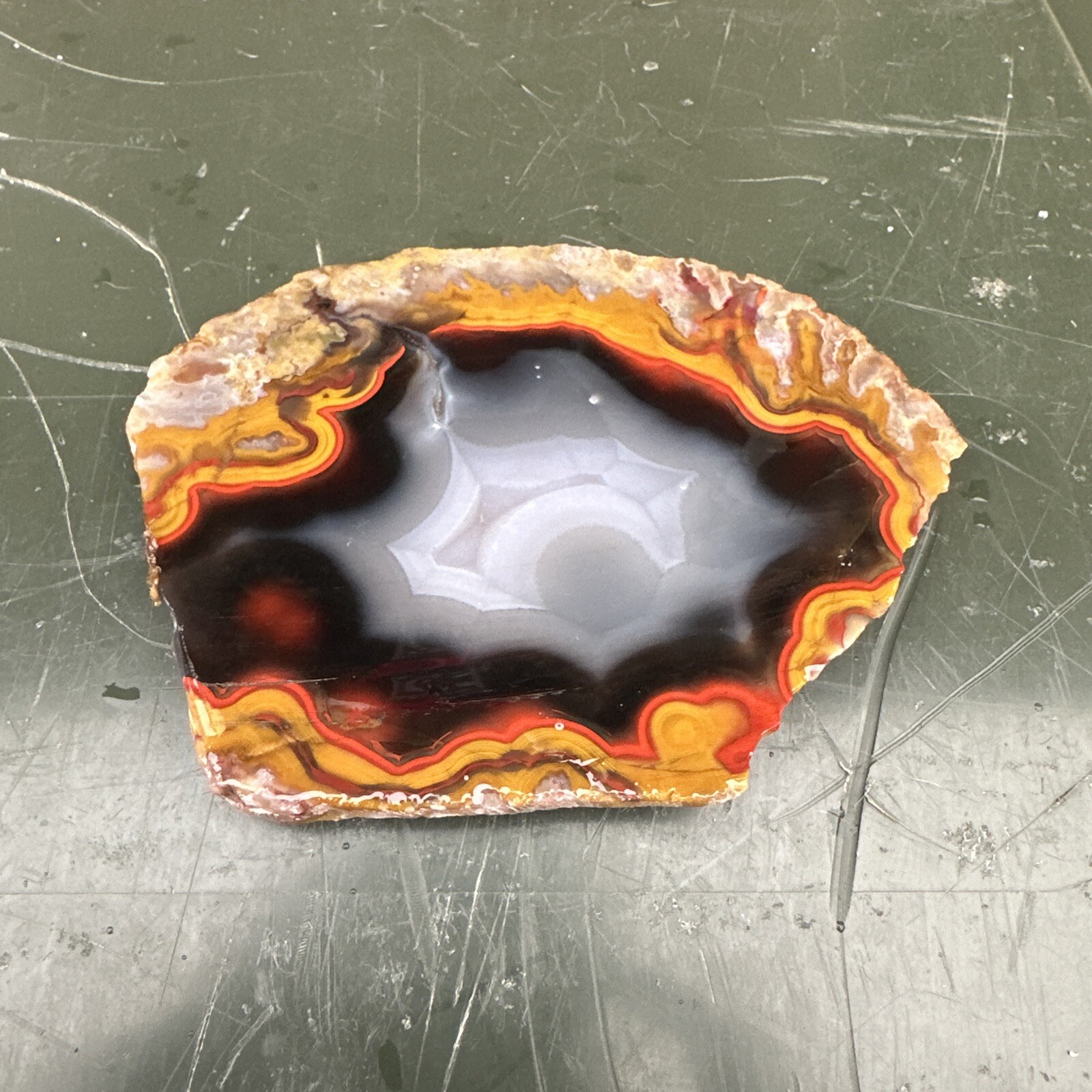 VERY RARE!! Large Polished Kentucky Agate, Museum Quality! | eBay