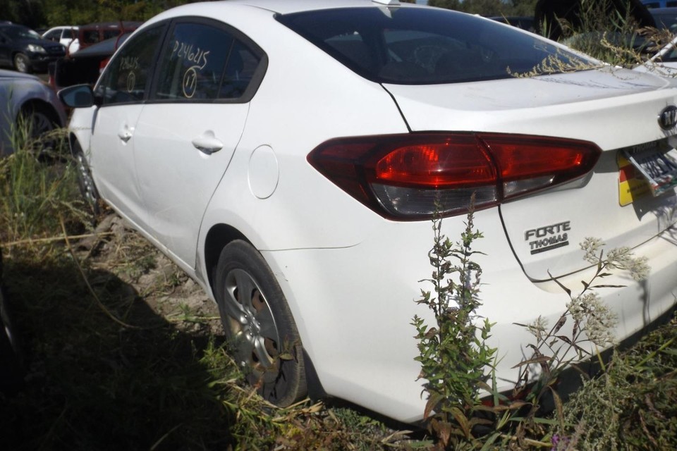 Temperature Control Hatchback Fits 17-18 FORTE 1675143 | eBay