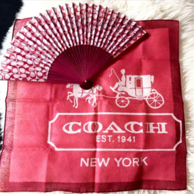 COACH Fans Folding Fan Sensu Handkerchief Set Japan non-no 2011 Novelty ...