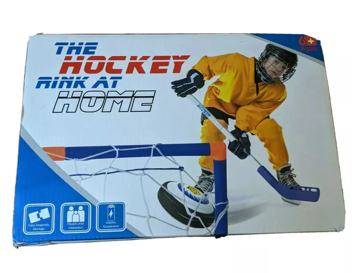 Hockey Stick And Puck And Net