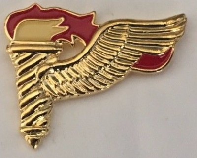 US Army Pathfinder lapel/hat pin badge H010804 | eBay