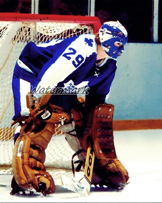 Maple Leafs Goalie Mike Palmateer Color 8 X 10 Photo Picture | eBay