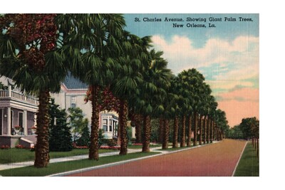 Postcard New Orleans LA St. Charles Avenue Curt Teich c1937 | eBay