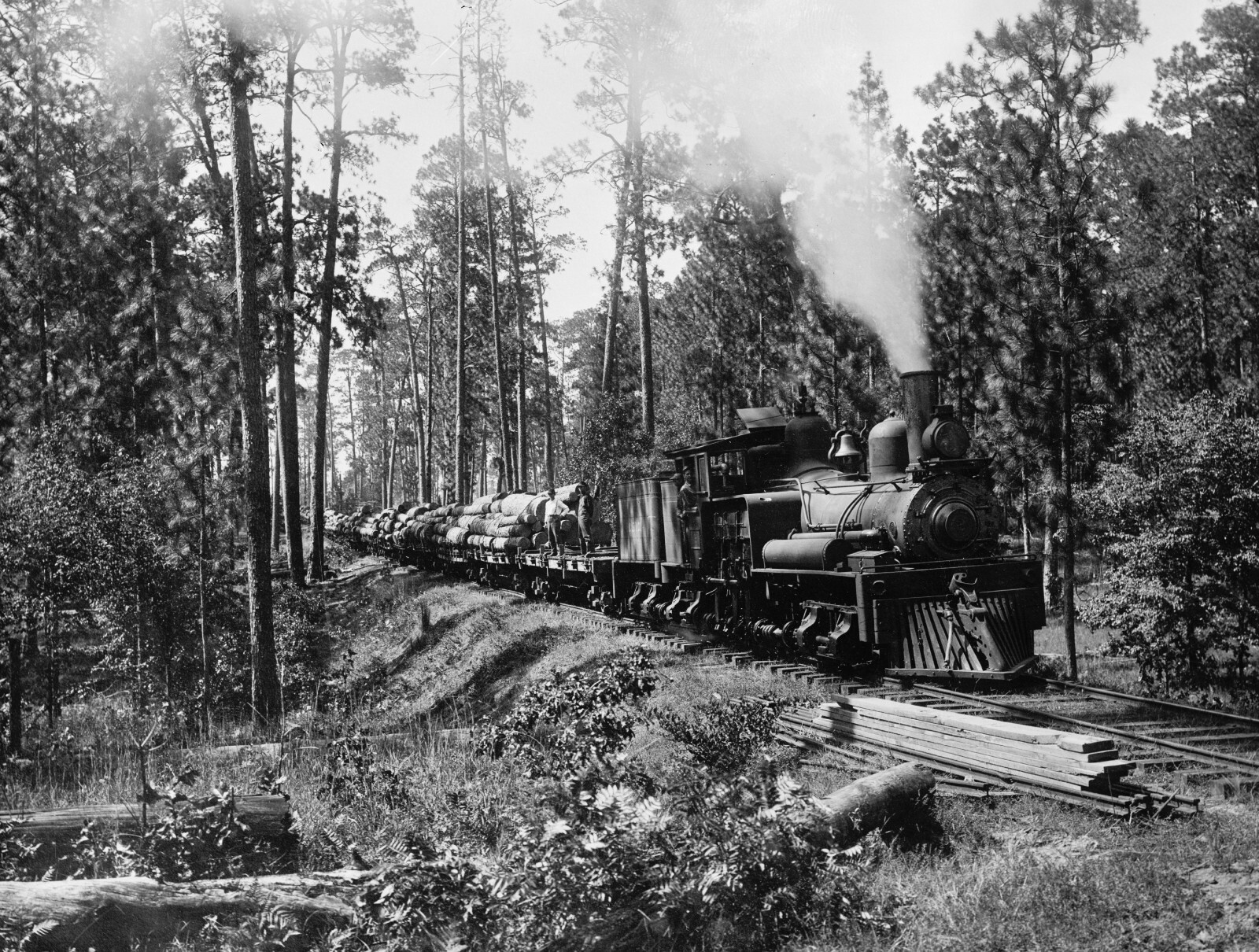 Logging Train, Early 1900's, Steam Locomotive, Photo, New Reproduction ...
