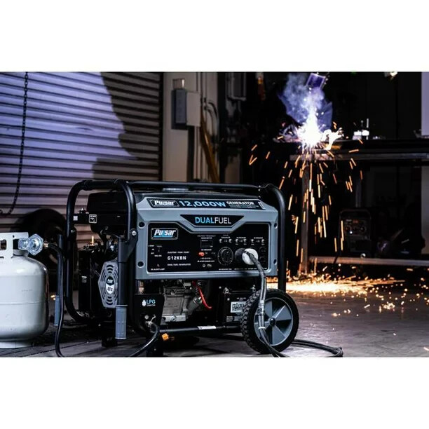 Pulsar 12,000-W Portable RV Ready Dual Fuel Powered Generator w ...