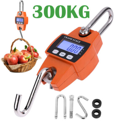 Mini Crane Scale Weight 300kg Heavy Duty Hanging Hook Scales Portable ...