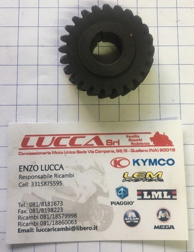 245240 Ingranaggio Motore Pignone Piaggio Vespa Fl 125 1989 - 1990 | eBay