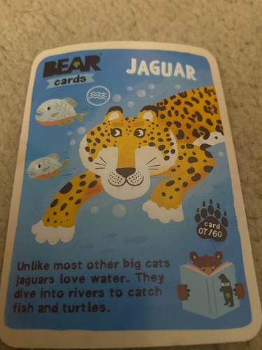 YoYo Cards - Bear Animal 21/22 - ALL CARDS - MORE RARE CARDS ADDED SEPT ...