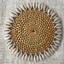 Natural Rattan with Cowrie Shell Coaster 13cm Diam Coastal Boho | eBay