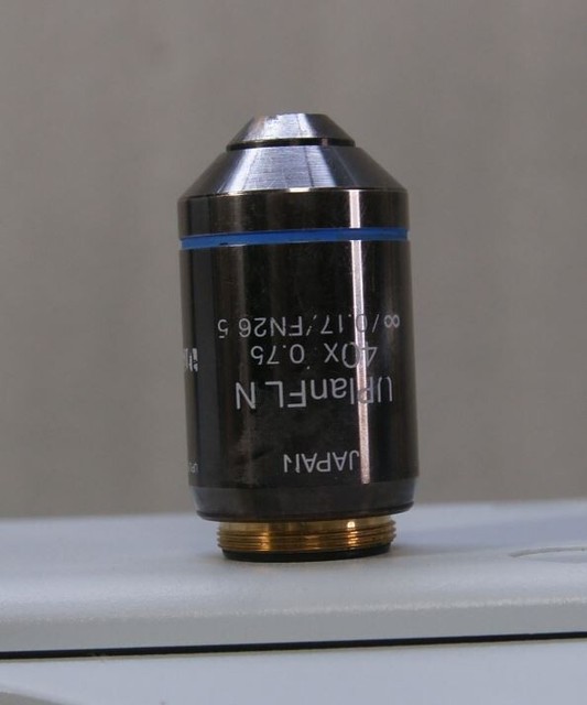 Olympus BX41TF Flourescent Microscope for sale online | eBay