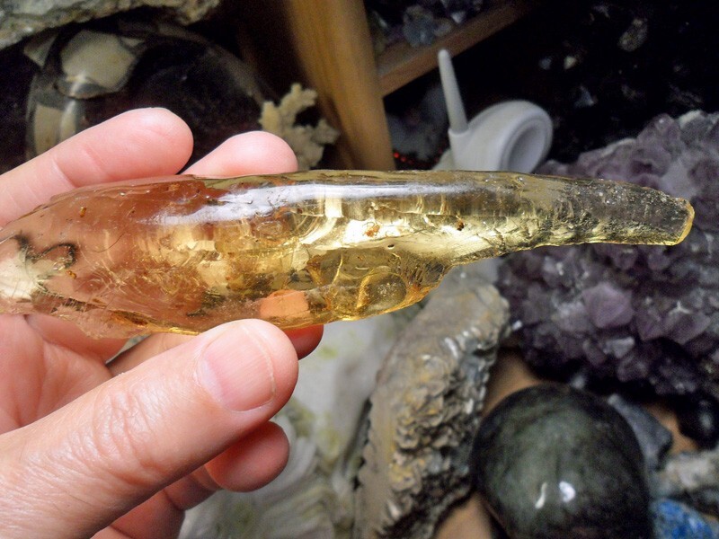 Copal Amber Fossil with Bugs in it Piece 28.35 grams | eBay