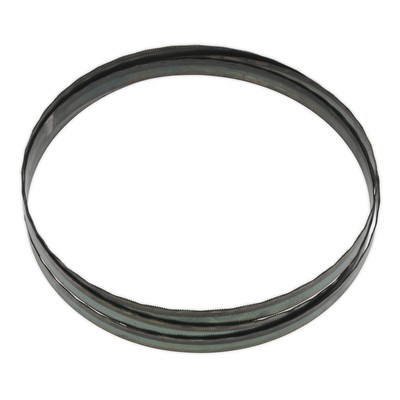 Sealey Sm5/113/24 Bandsaw Blade 1638 X 13 X 0.63Mm 24Tpi | eBay