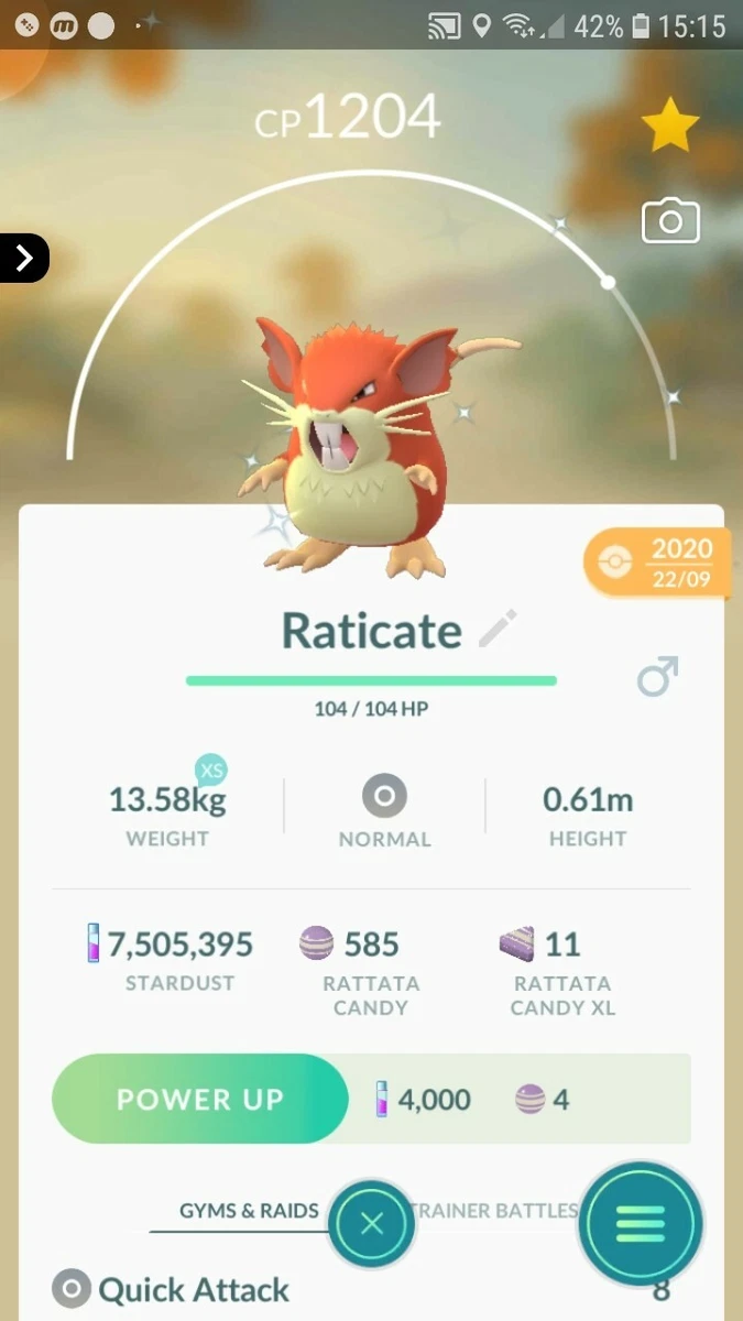 Evolucion Pokemon Raticate