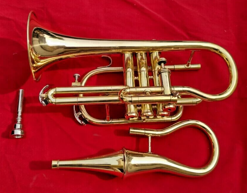 Echo Cornet W/extra Mute Effects Customized Cornet Duplex Music Jazz ...