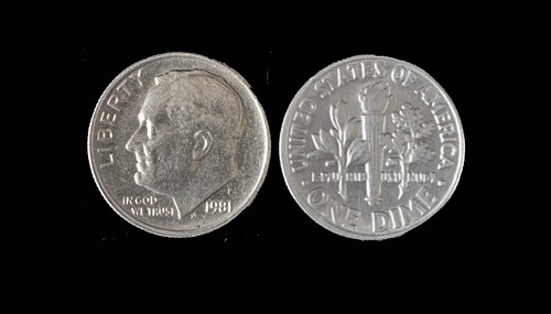 1981 P Roosevelt Dime - Excellent Condition | eBay