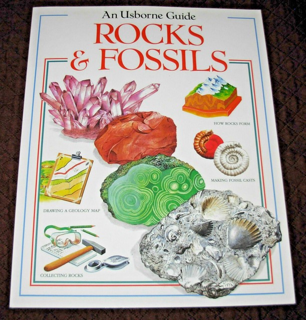 Hobby Guides Ser.: Rocks and Fossils by Martyn Bramwell (1983, Trade ...