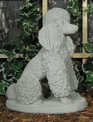 1410 Standard Miniature Toy Poodle Labradoodle Latex Fiberglass Mold ...