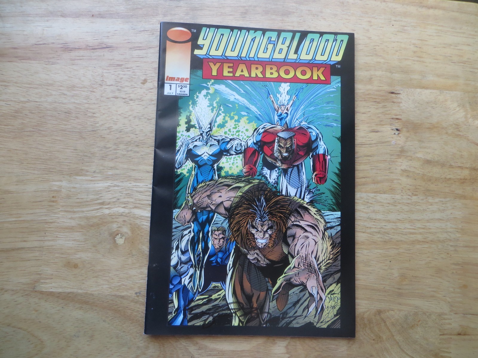 1993 IMAGE COMICS YOUNGBLOOD YEARBOOK # 1 SIGNED BY CHAP YAEP, WITH COA ...
