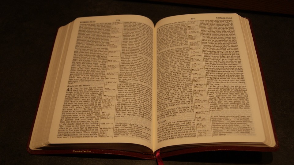 Holy Bible 1984 NIV Holman Ultra Thin Reference Edition Maroon Leather ...