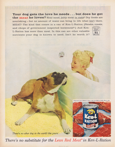 1961 Boxer Dog & girl Ken-L-Ration Print Ad | eBay