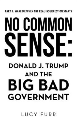 No Common Sense: Donald J. Trump and the Big Bad Government (Paperback ...