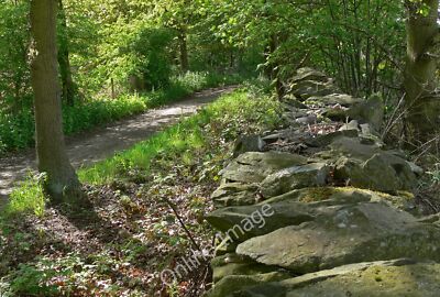 Photo 12x8 Dry stone wall and path on Hangingstone Hills Woodhouse ...