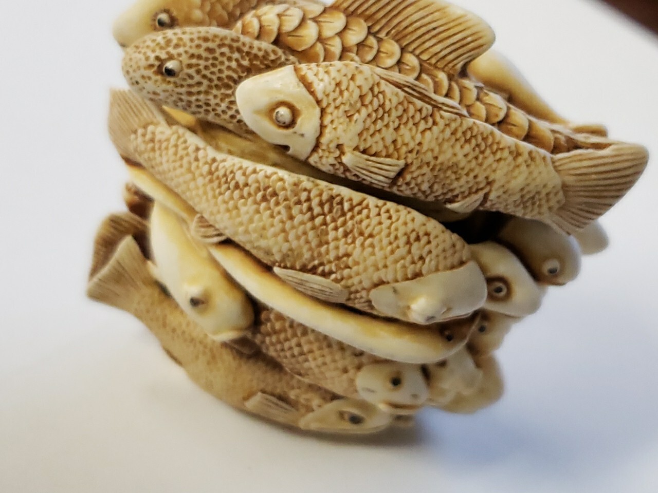 School of fish Rare Treasure Ornate high detailed Bone Trinket Box Gift ...