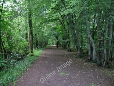 Photo 6x4 Footpath through the woods Reigate The woodland to the left ...